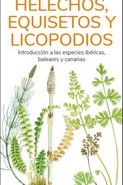 HELECHOS, EQUISETOS Y LICOPODIOS - GUIAS DESPLEGABLES TUNDRA ...