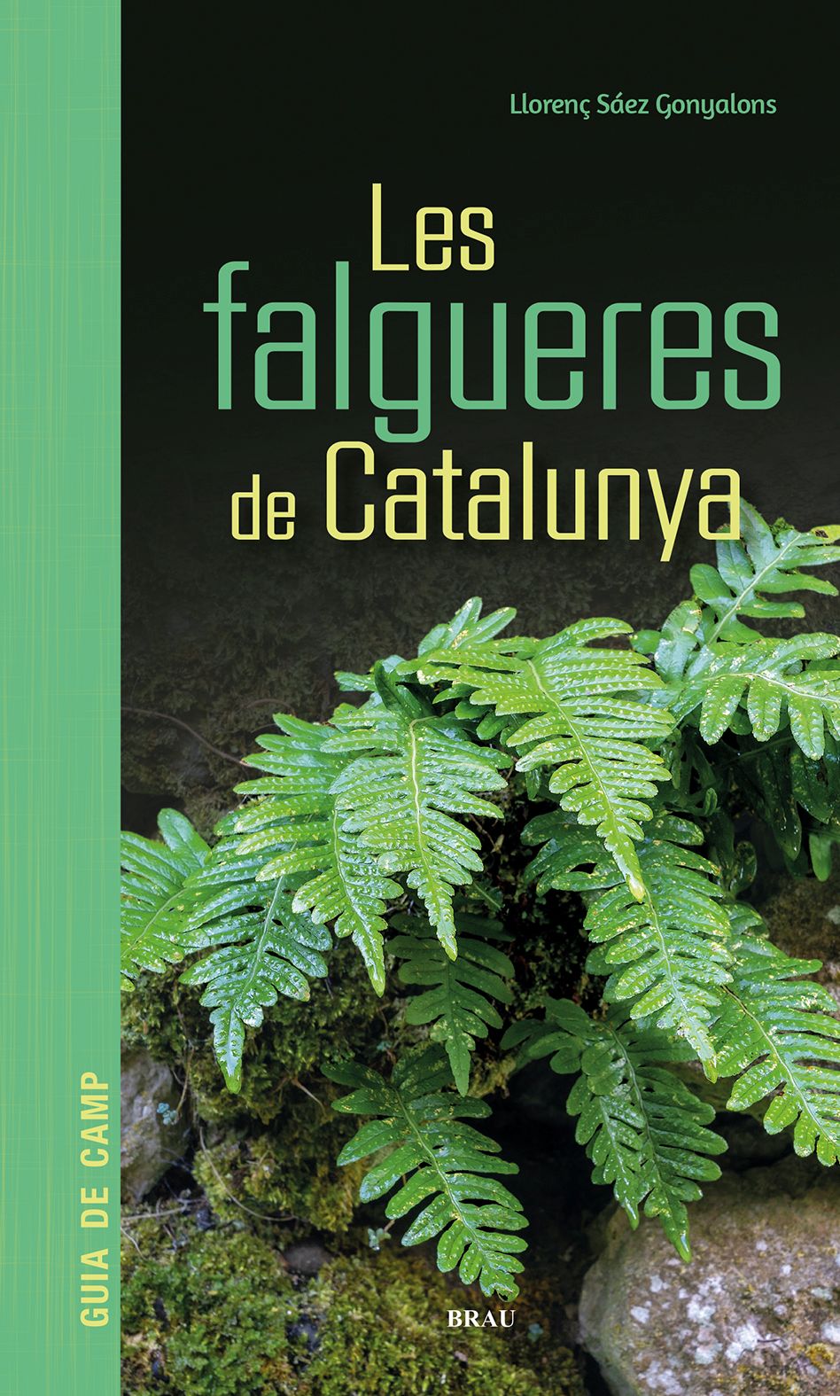 LES FALGUERES DE CATALUNYA - NaturaLlibres. Librería especializada en ...